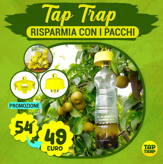 ORTO IN PRIMAVERA: QUALI TRAPPOLE USARE | Tap Trap
