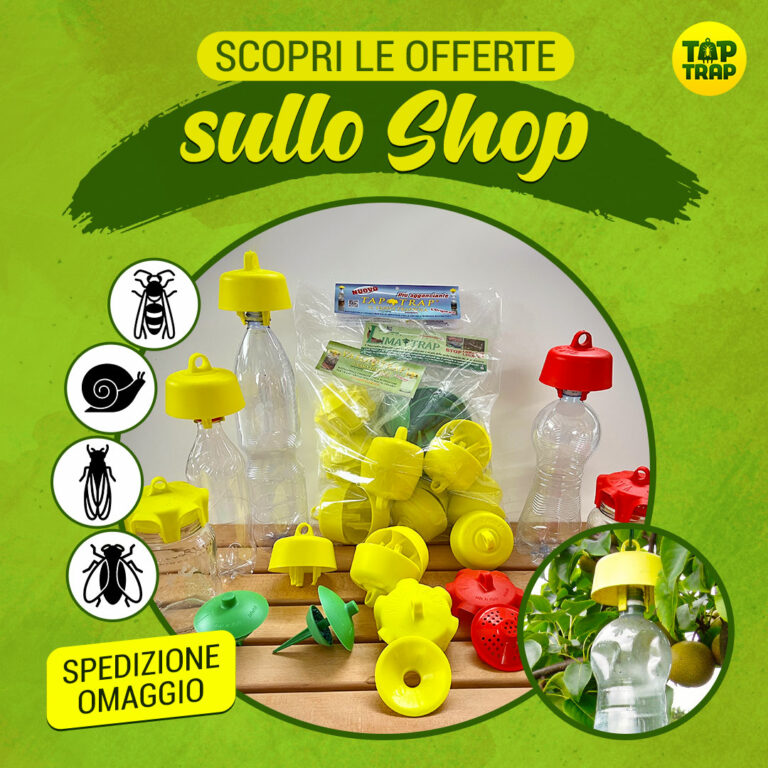 Trappole ecologiche per vespe, mosche, lumache e limacce | Tap Trap
