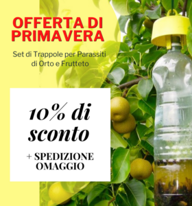 Trappole ecologiche per vespe, mosche, lumache e limacce | Tap Trap