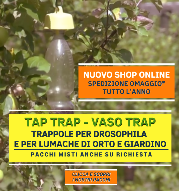 Trappole ecologiche per vespe, mosche, lumache e limacce | Tap Trap