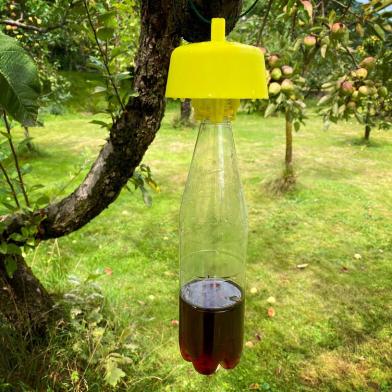 Pacco Misto Lima Trap | Tap Trap